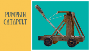 Fall Experiments and Projects – STEAM Powered DIY